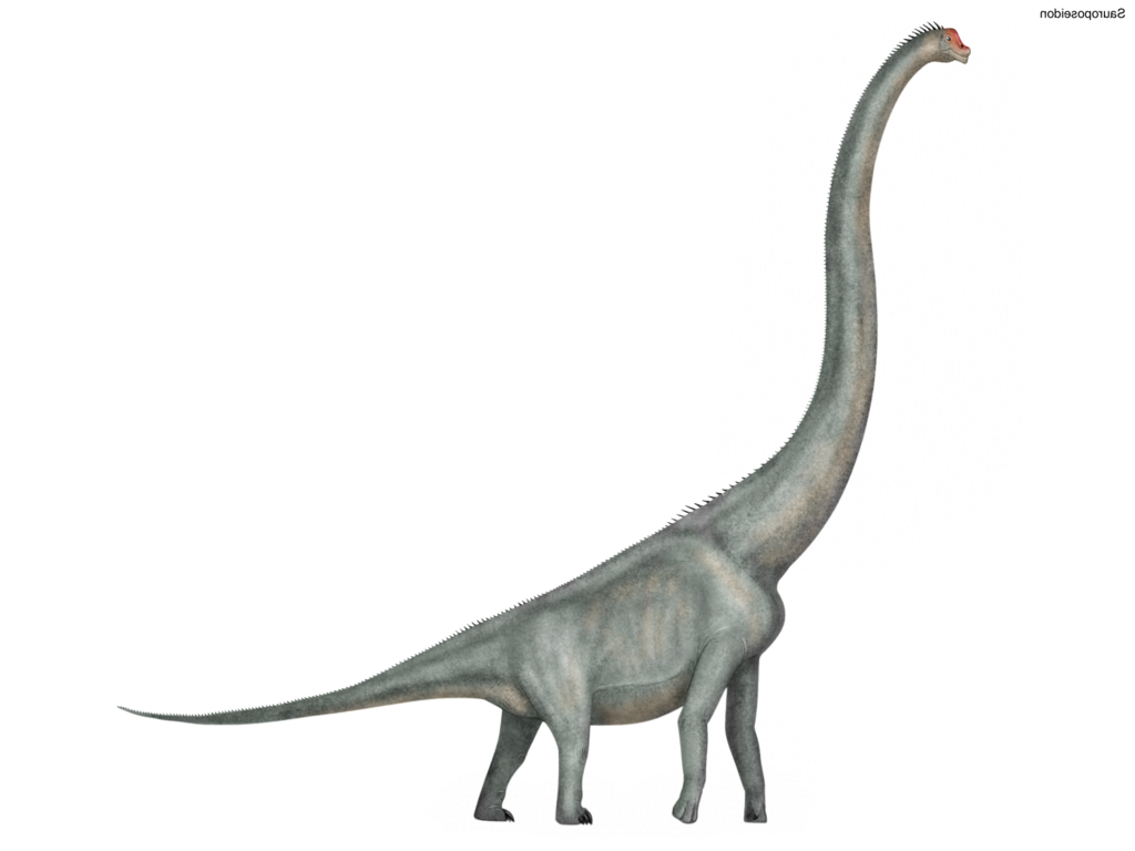 Tsunosaurus: Sauroposeidon