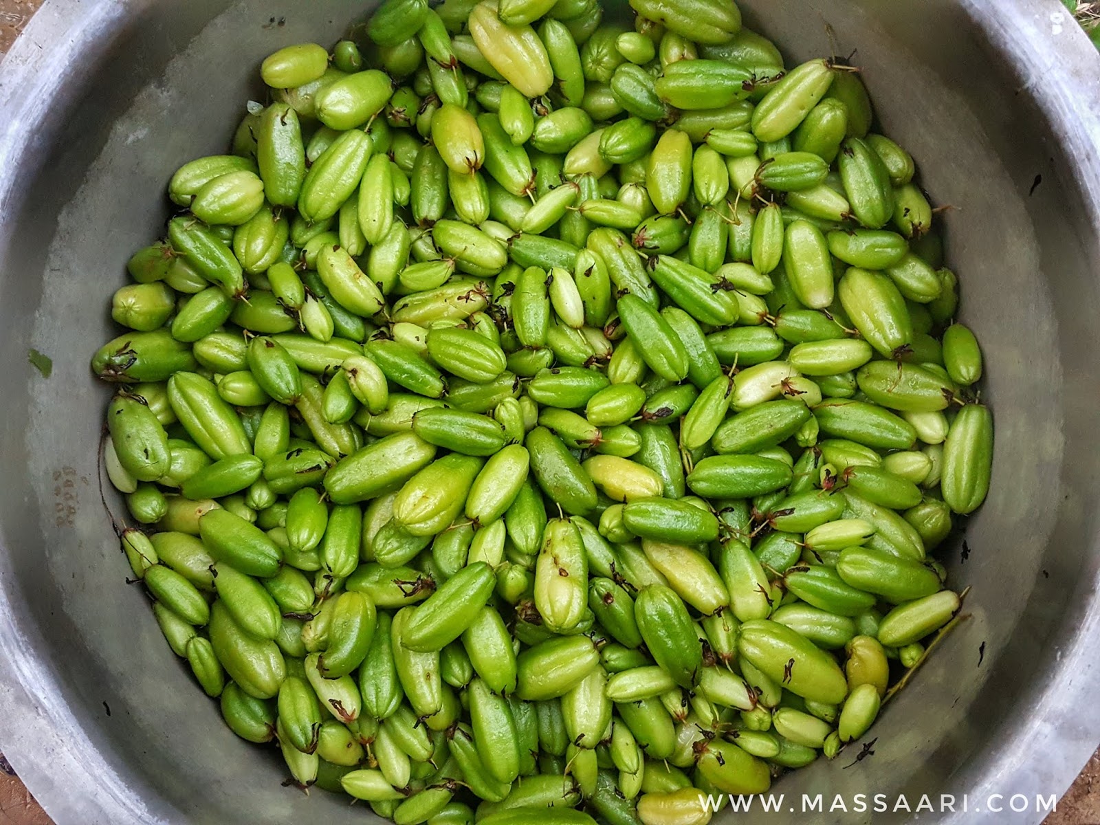 Cara Rebus Belimbing Buluh - Resipe Rebus