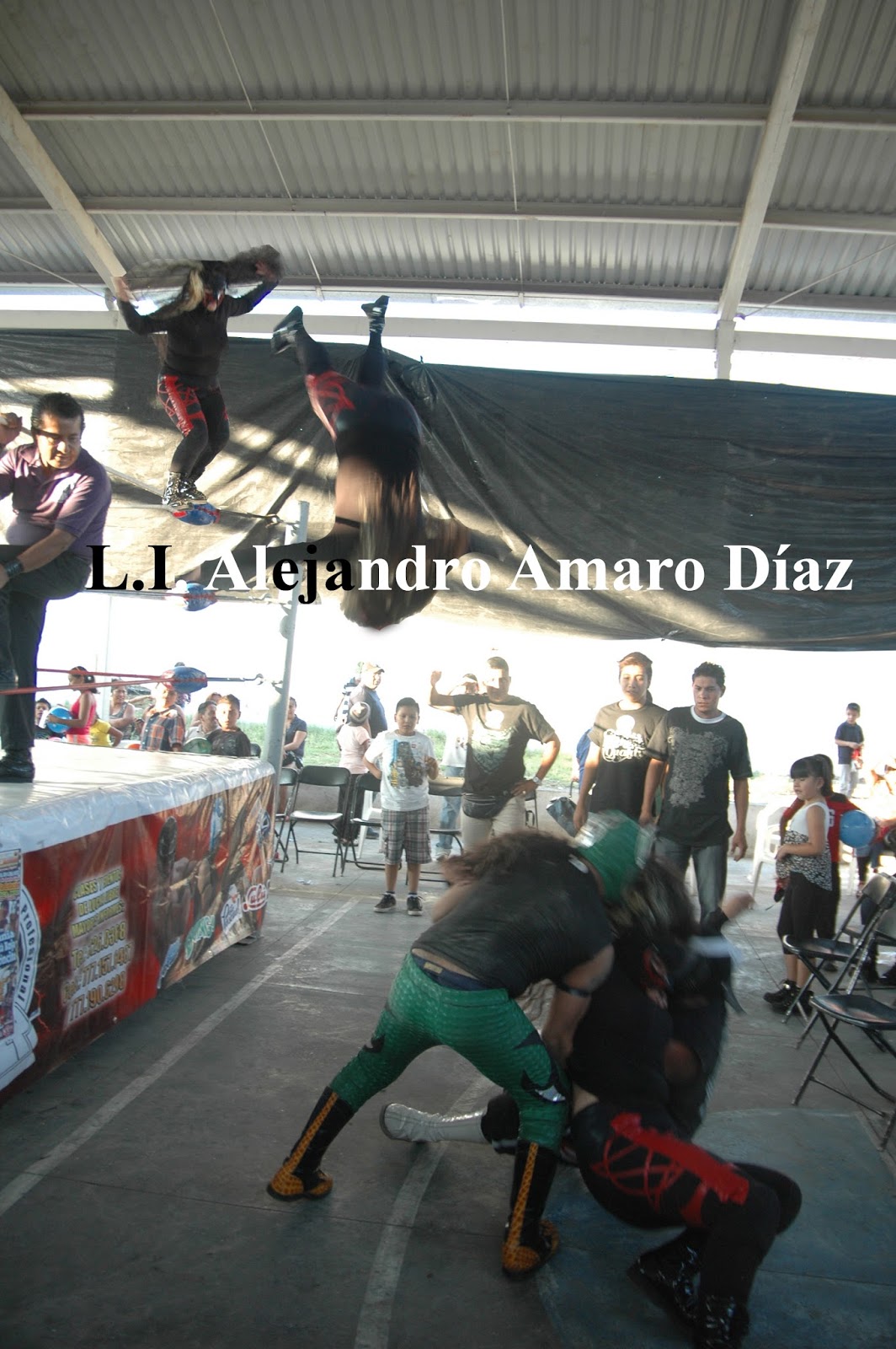 ESTRELLAS DEL RING.: Lucha mixta