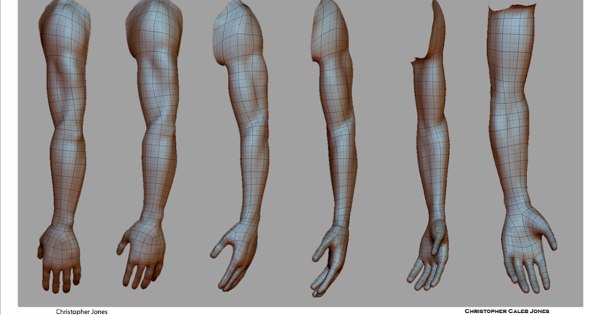 caleb jones - sculptor: Left Arm Anatomy Sculpt