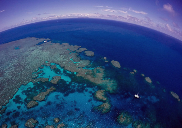 Lucey Blue: Bait Reef - Aerial images from Mariner Drone