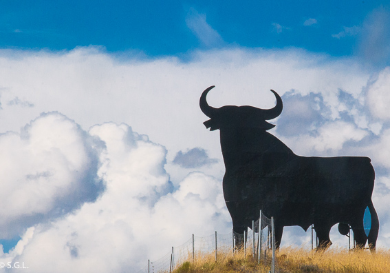 CON T DE TORO | Andén 27