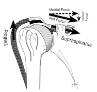 Indiaorthosurgeon: Cuff Tear Arthropathy