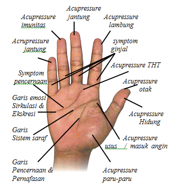 Alur Check up Pasien | KLINIK PENGOBATAN BAHASA ALAM
