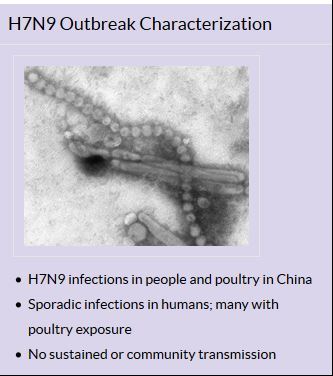 Avian Flu Diary: WHO Virtual Press Conference On H7N9
