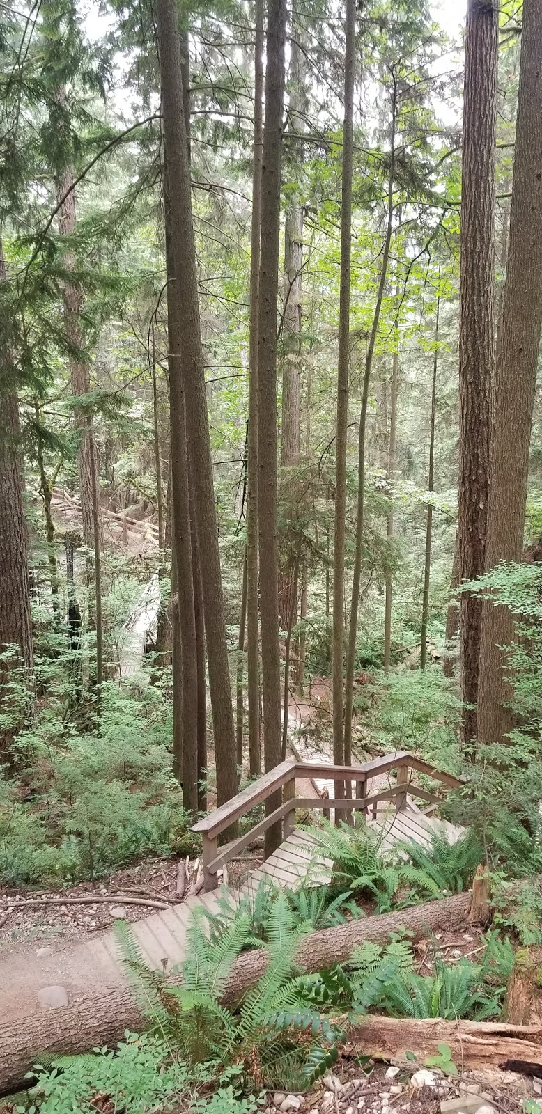Deep Cove Quarry Rock Trail - BC, Canada - chichicho~