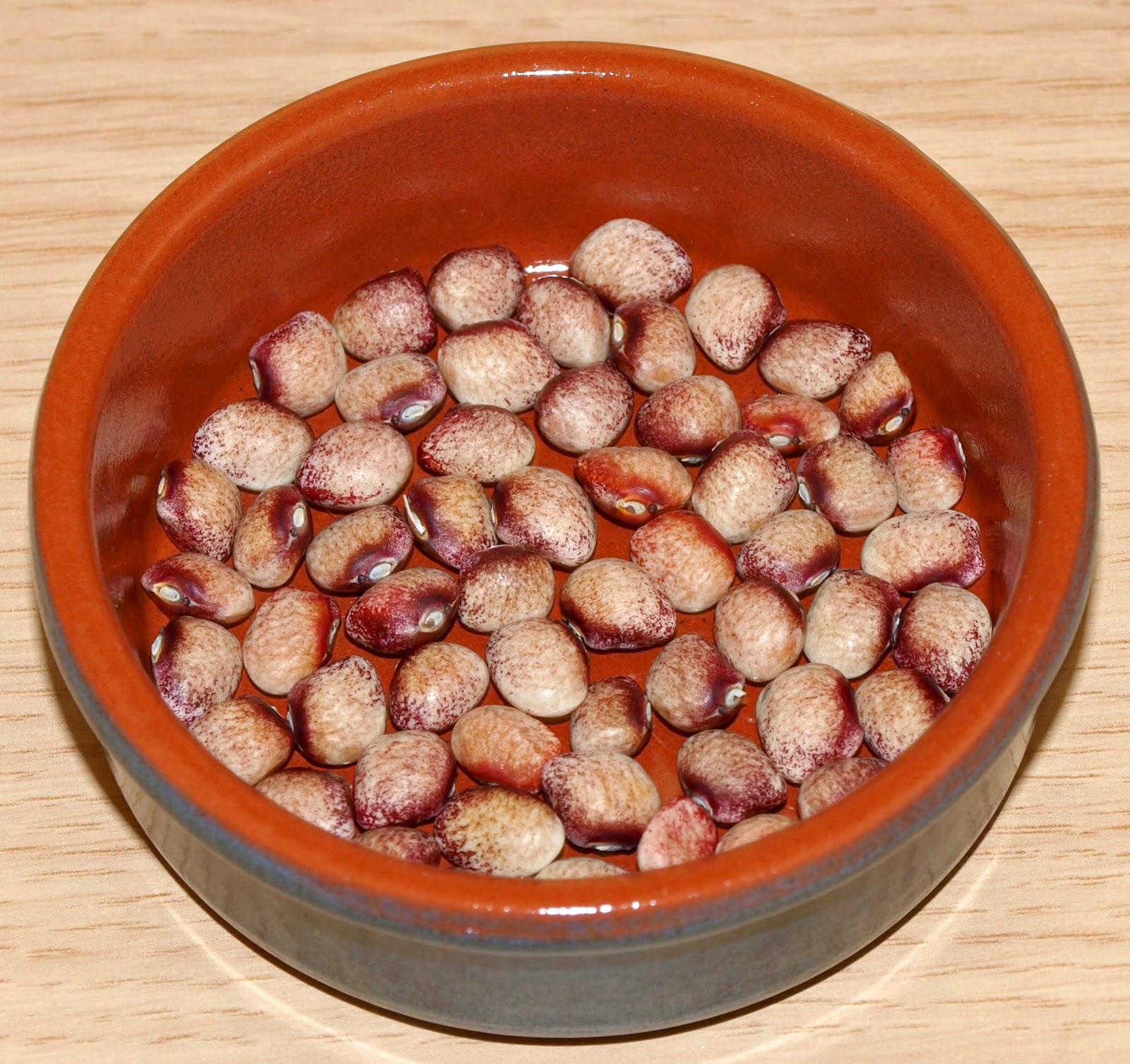 Mark's Veg Plot: More on shelling-beans
