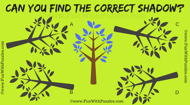 Tricky Visual Puzzle: Choose the Correct Shadow!