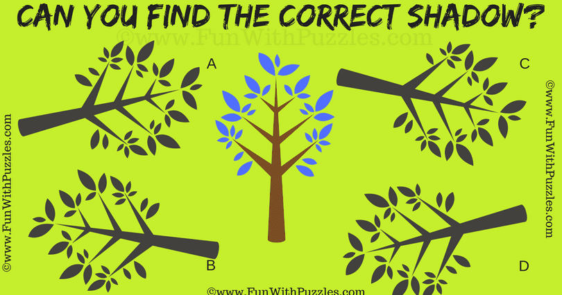 Tricky Visual Puzzle: Choose the Correct Shadow!
