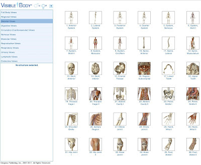 Endeavour Library News: Visible Body 3D Human Anatomy Atlas
