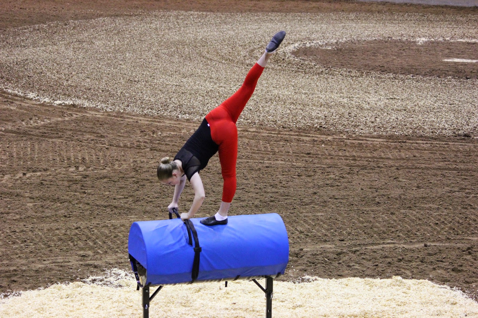 Technique Equestrian Vaulting Club: Regional Vaulting Competition in ...