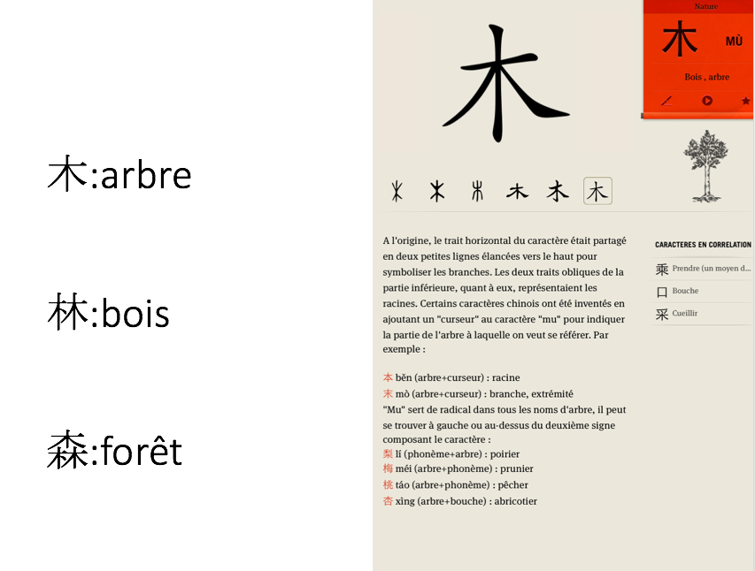 C'est du Chinois ! : Introduction à la langue chinoise