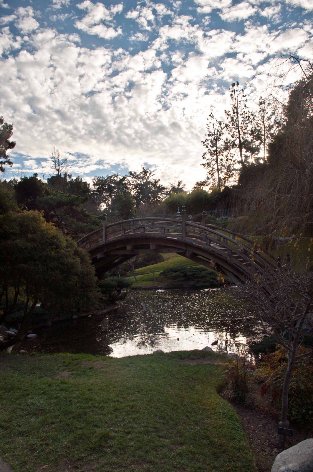 Words and Pictures by LissaFudge: The Huntington Library