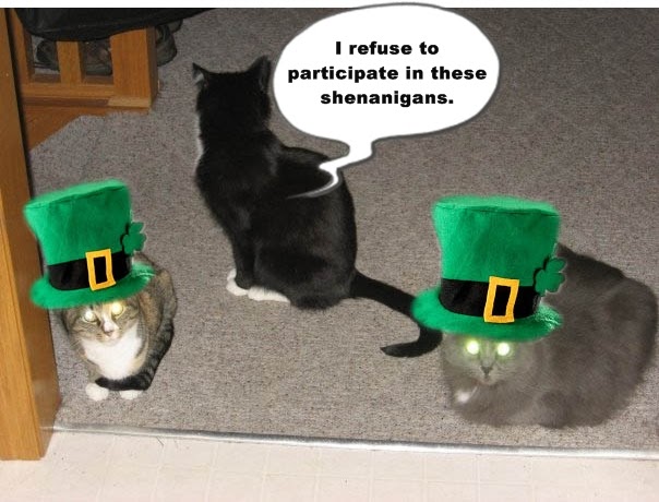 Catladyland: Cats are Funny: Party Pooper Cat Refuses St. Patty's Day ...