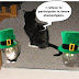 Catladyland: Cats are Funny: Party Pooper Cat Refuses St. Patty's Day ...