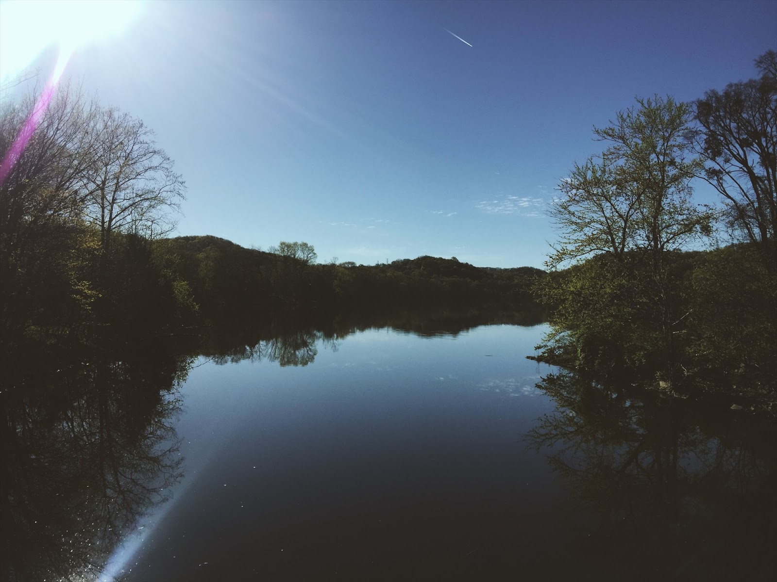 Charlotte in the City: Spring in Nashville