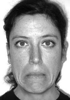 Nonverbal World - The World Without Words: Reading Body Language ...