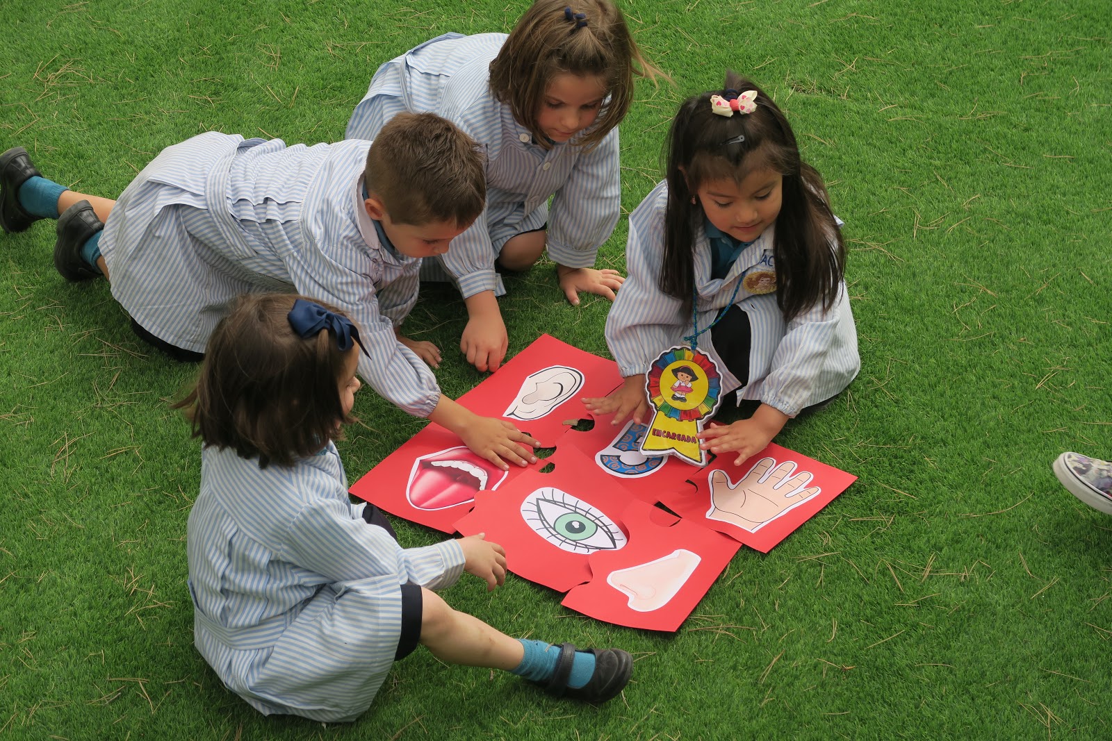 ¡Mira qué bien!: 4 años Proyecto "Los cinco sentidos"