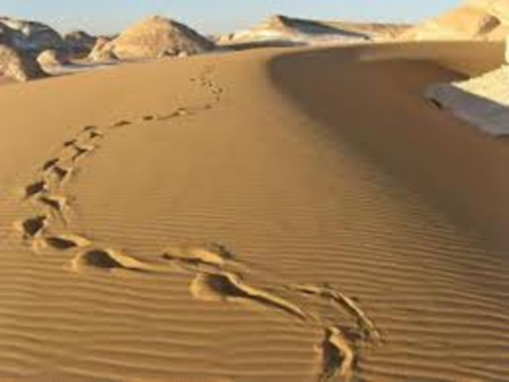 JEZUS en MARIA Groep.: 40 dagentijd