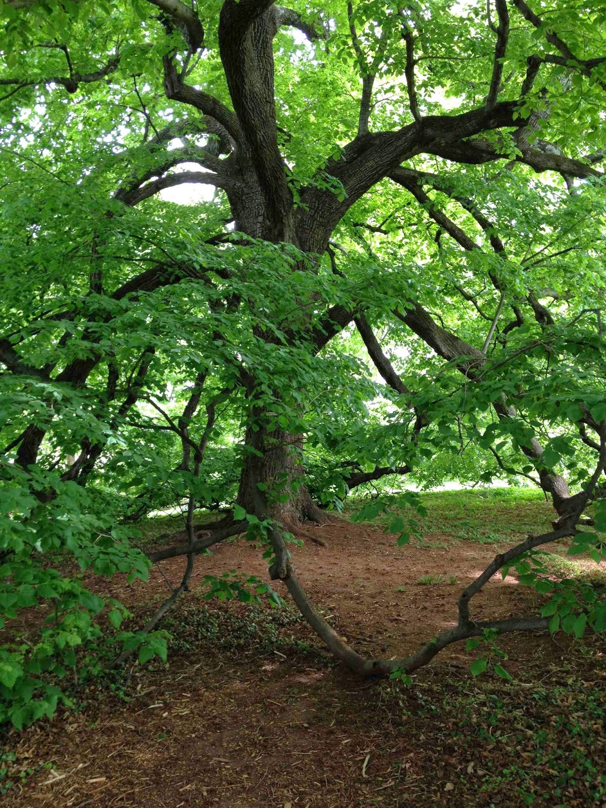 Kitchens I Have Loved: More Walda and a Bit of Virginia