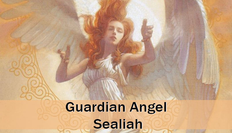 CE: ORAÇÃO AO ANJO DA GUARDA