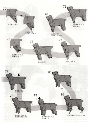 PAPIROFLEXIA PARA TOD@S: COCKER SPANIEL