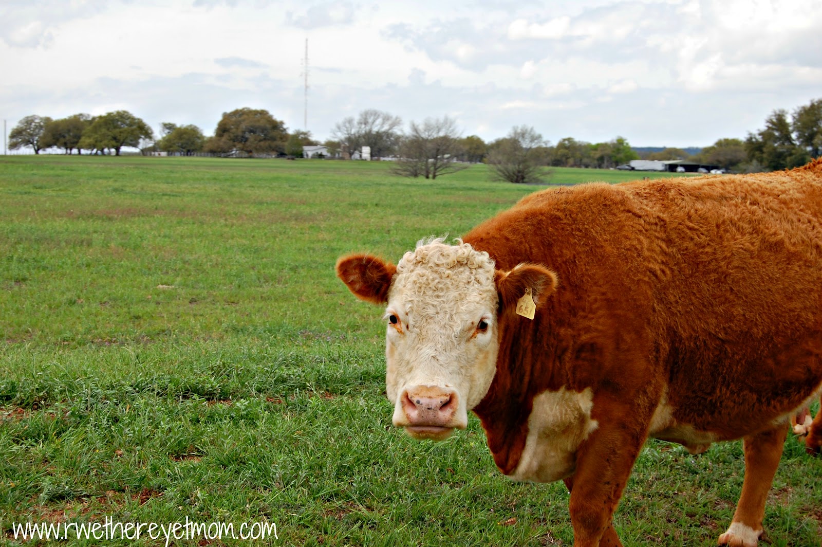 LBJ Ranch at Lyndon B Johnson National Historic Park ~ Stonewall, Texas ...