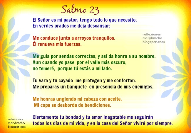 Oracion De La Noche Salmo 23 - 10 oracion de proteccion salmo 91 ...