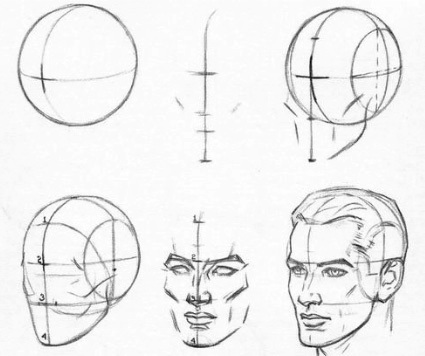 How to sketch a Head