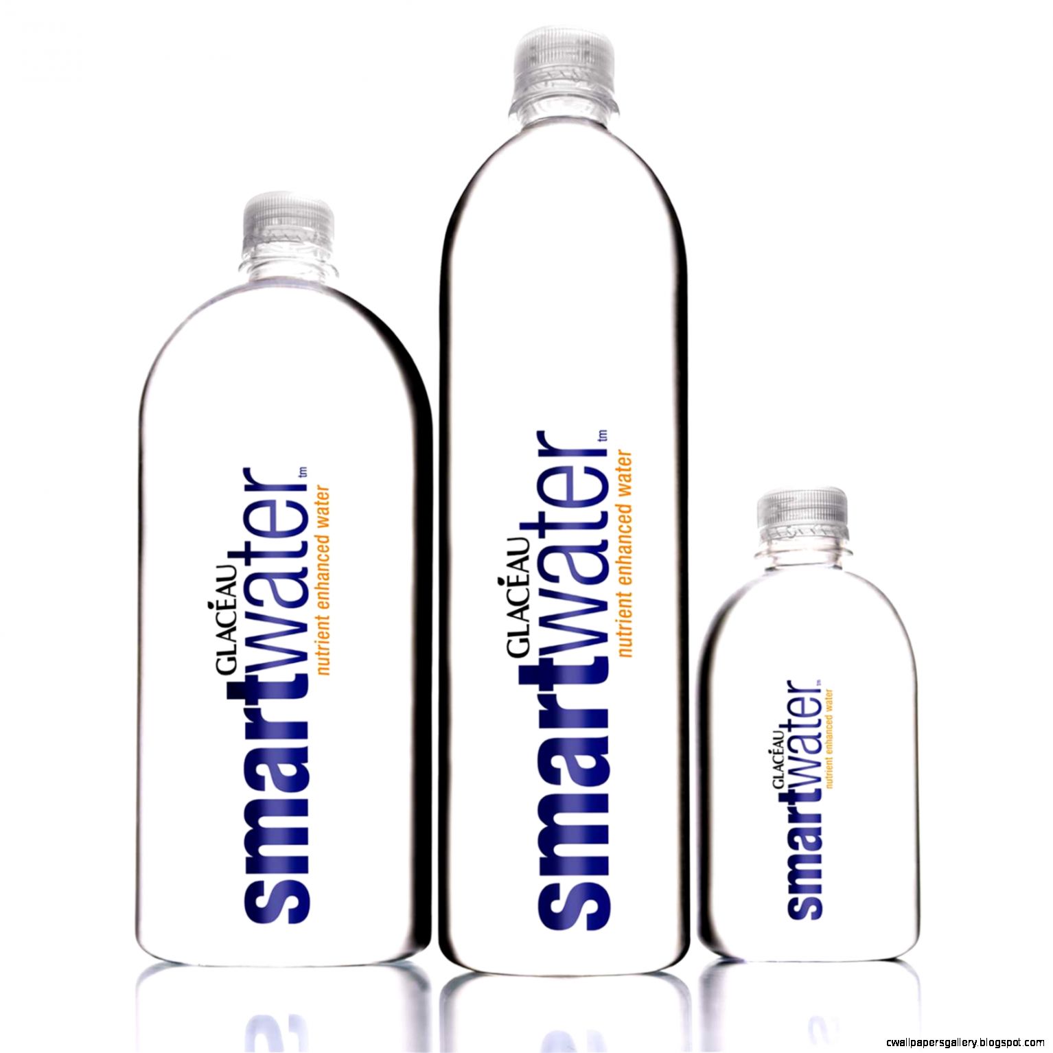 Smart Water Bottle Animals | Wallpapers Gallery