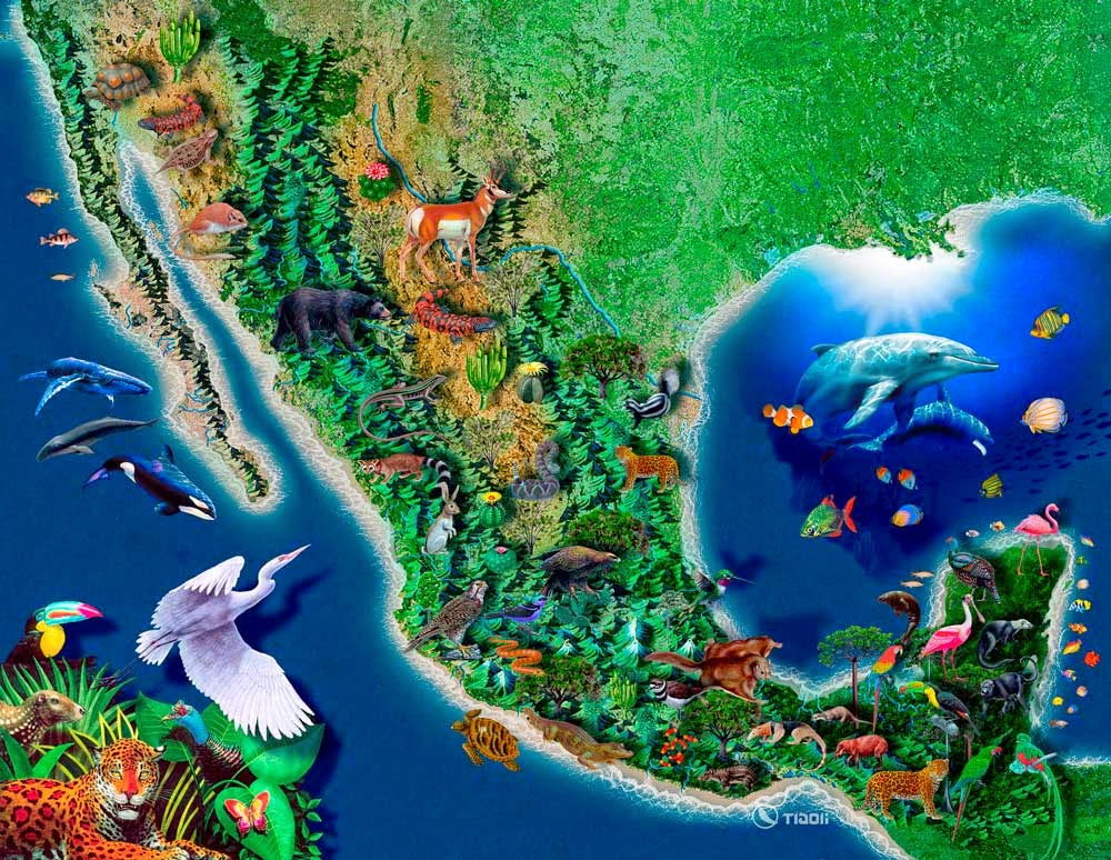 Biodiversidad de México