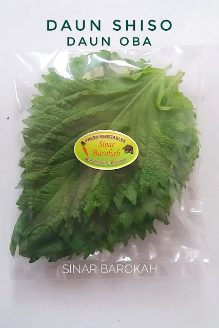 Supplier Sayuran Murah dan Berkualitas: Daun Shiso atau Daun Oba