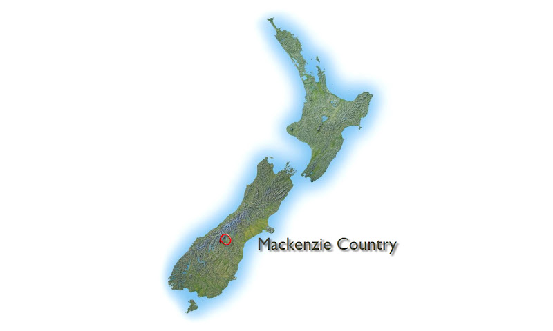 NewZeaLinz: Inland to Mackenize Country