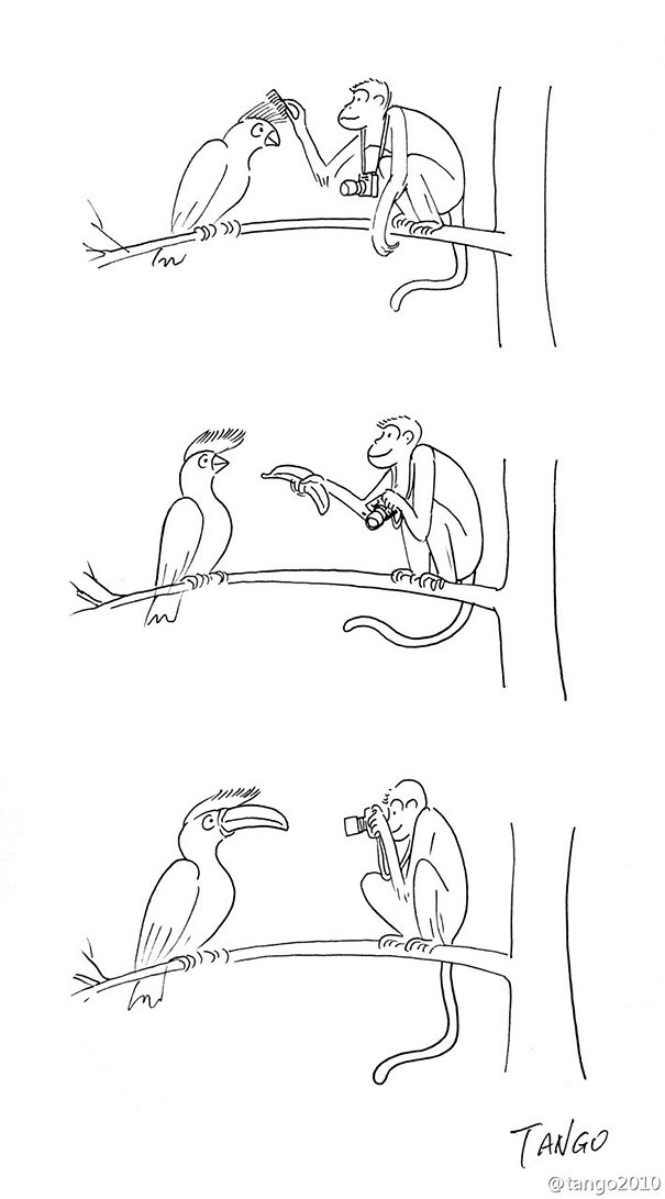 O bom humor e as grandes sacadas na ilustração de Shanghai Tango ...