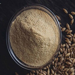 Malt Extract Suppliers | Malt Extract: Health Benefits of Malt Based Food