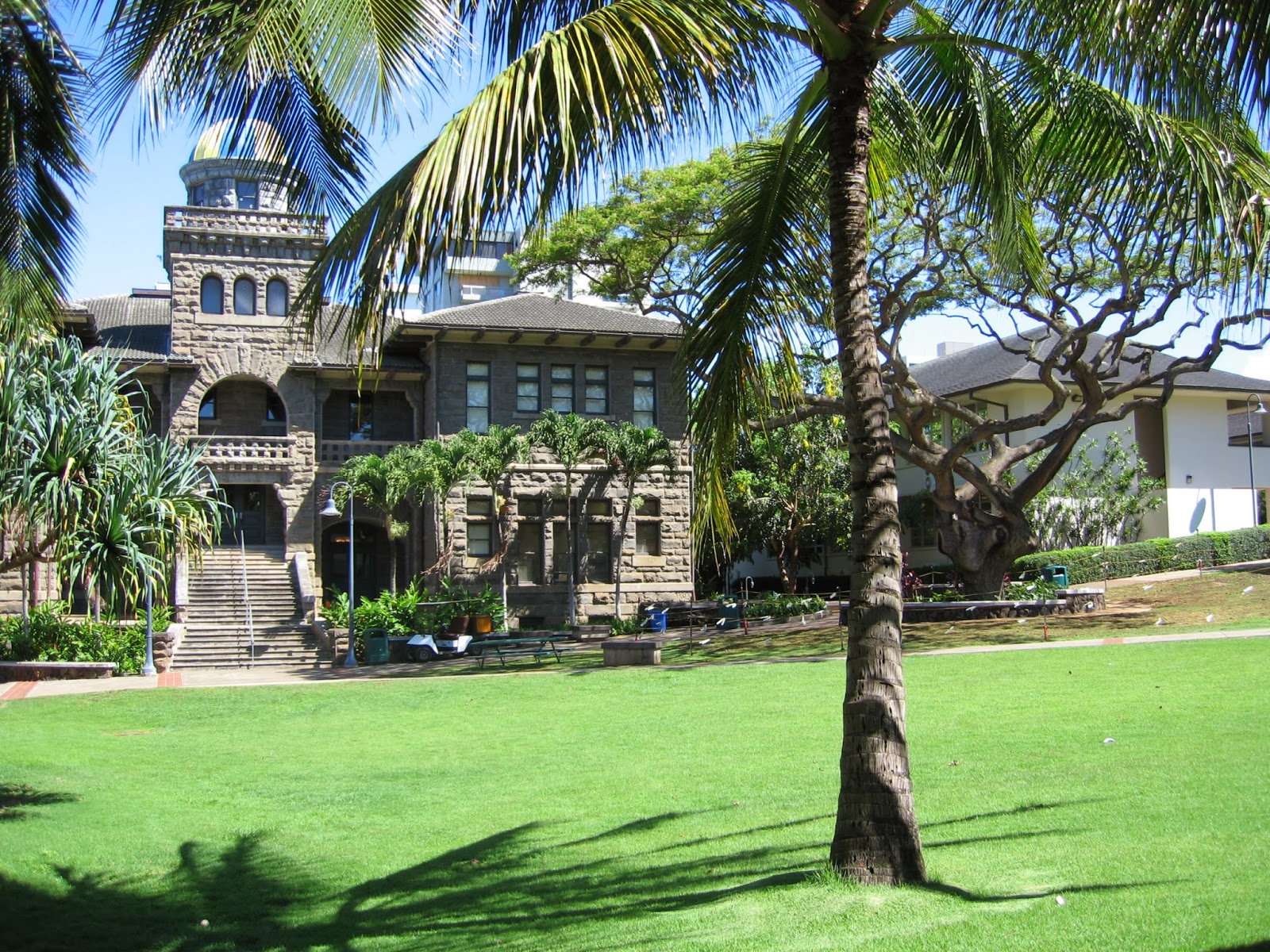 Tangled Roots and Trees: May 2014