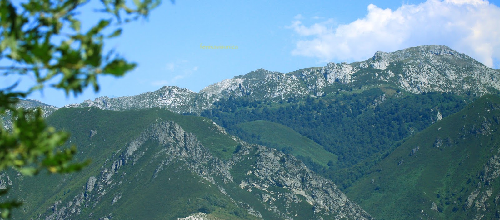 fenixavisunica .: Cerru Piqueru: En el corazón de Redes