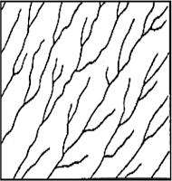 Tugasku: Pola Aliran Sungai