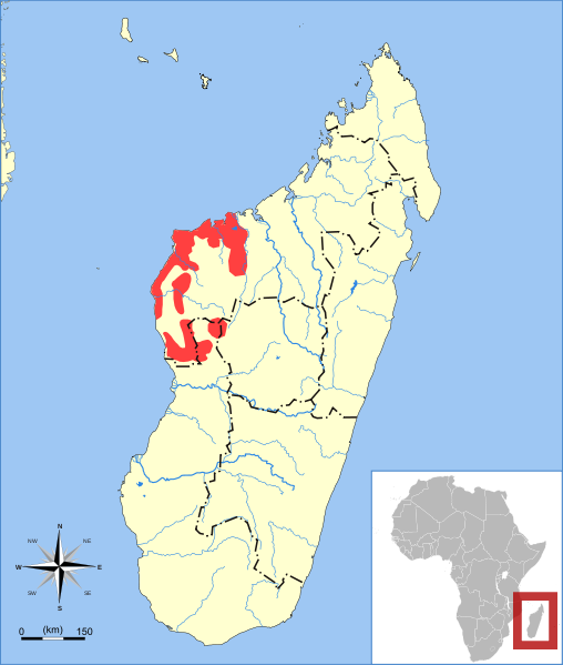 Evolutionary Vertebrate Zoology: Evoluční specialisti na planetě ...