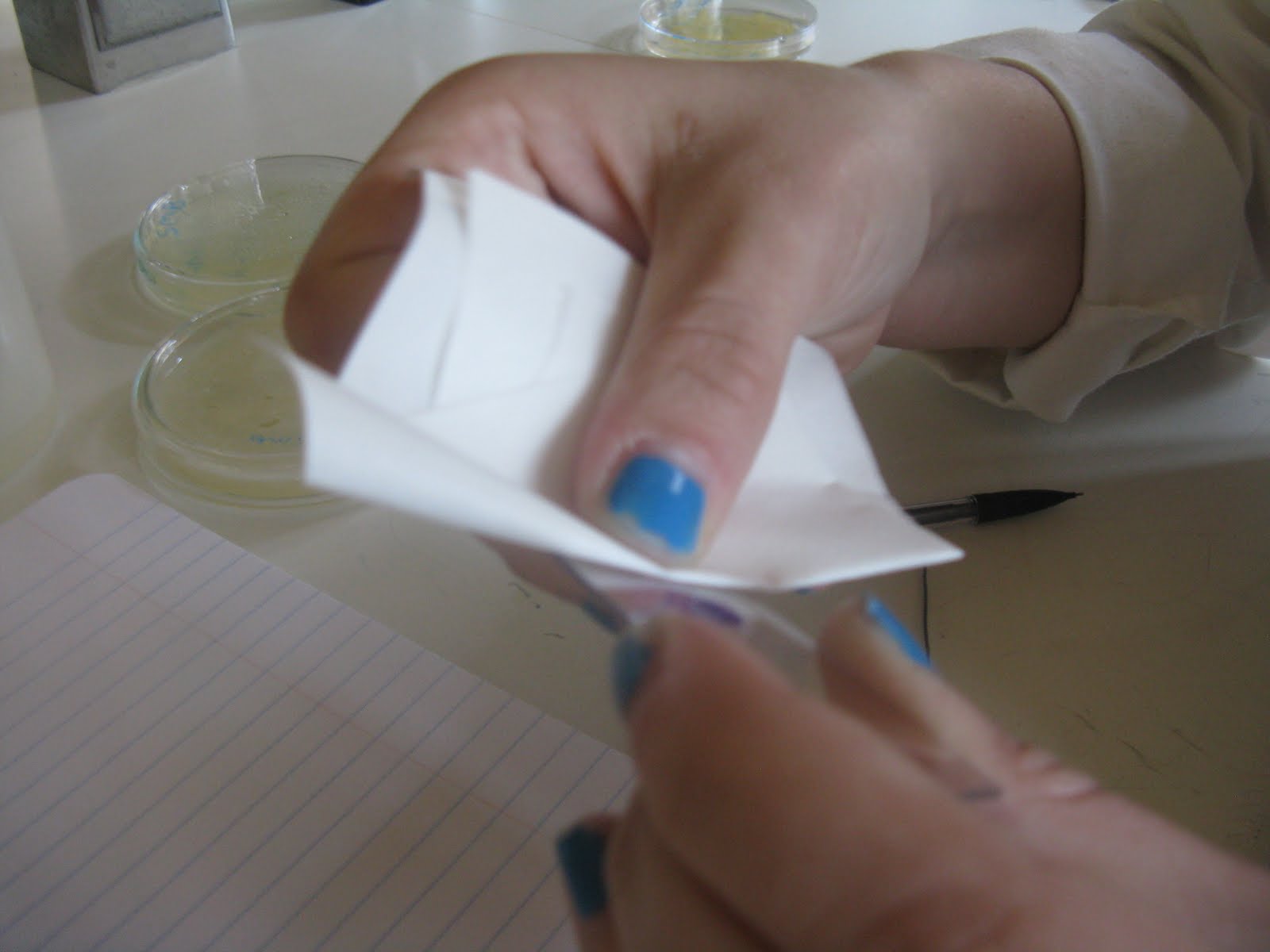 Samantha and Sarah's Microbiology Lab Journal: Staining Bacteria ...