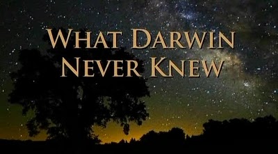 وثائقيات سندباد: What Darwin Never Knew (NOVA Documentary)