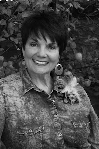 Shellie's School of Dance