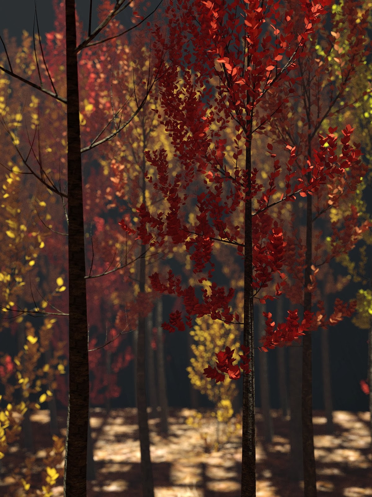 Blender 3D Renders from Yodamon: Forest in Blender 3D 2.69