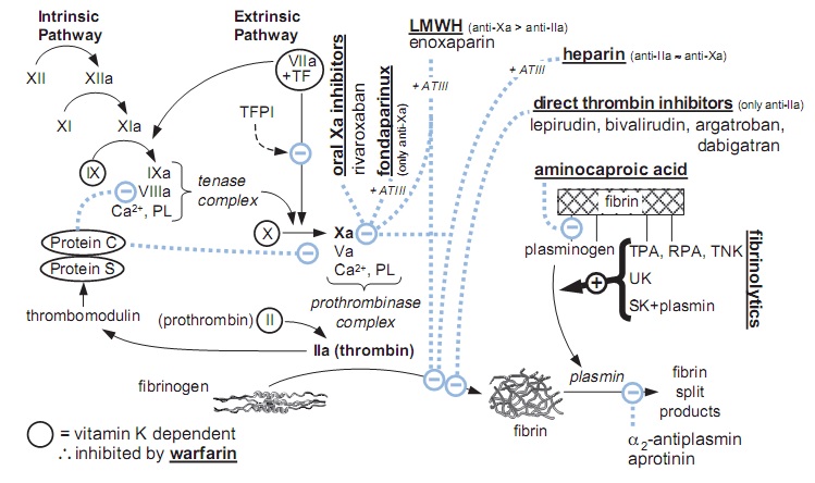 Pharmaceutical Drug Article: ANTIPLATELET AGENTS & ANTICOAGULANTS ...
