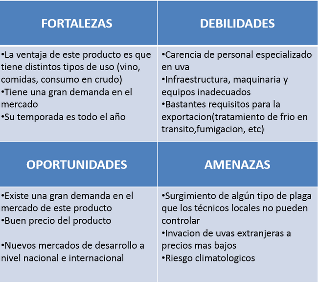 Sweet Grapes: Análisis FODA del producto y documentos
