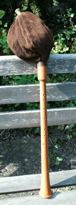 The Ancient Music of Ireland: Our Musical Instruments