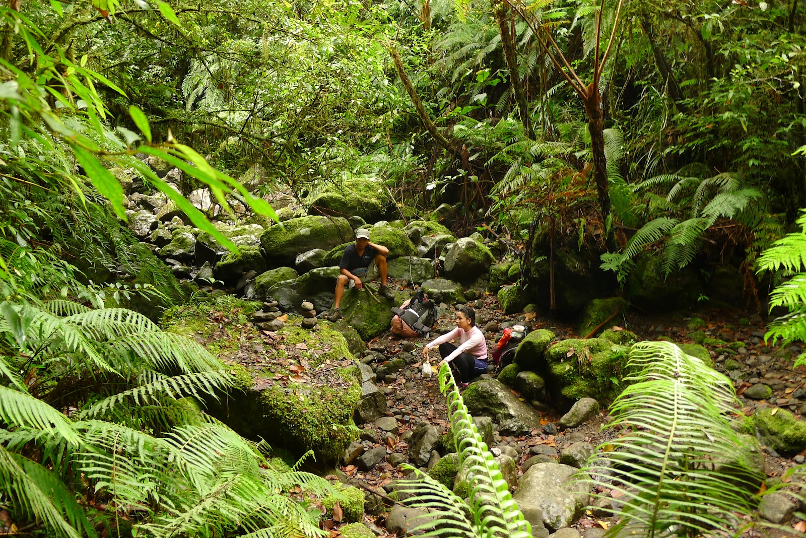 JOURNEYING SARAH: Mt. Kanlaon: The Highest Summit in Visayas