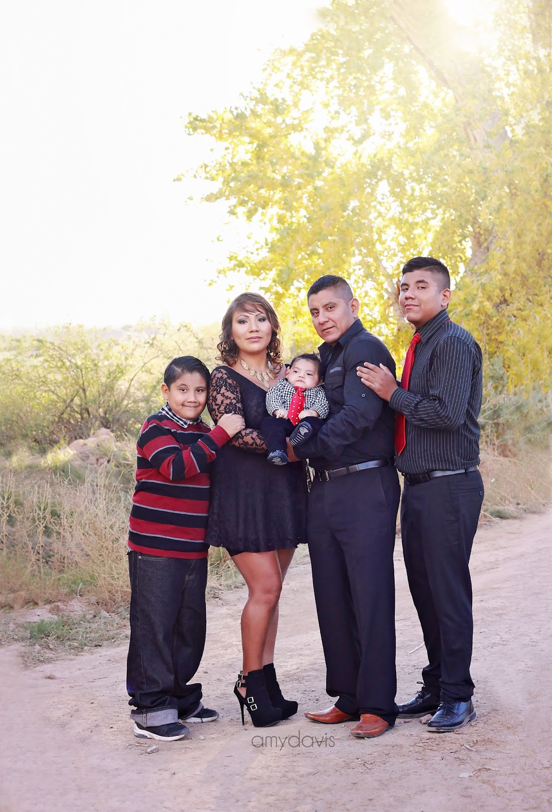 Amy Davis Photography