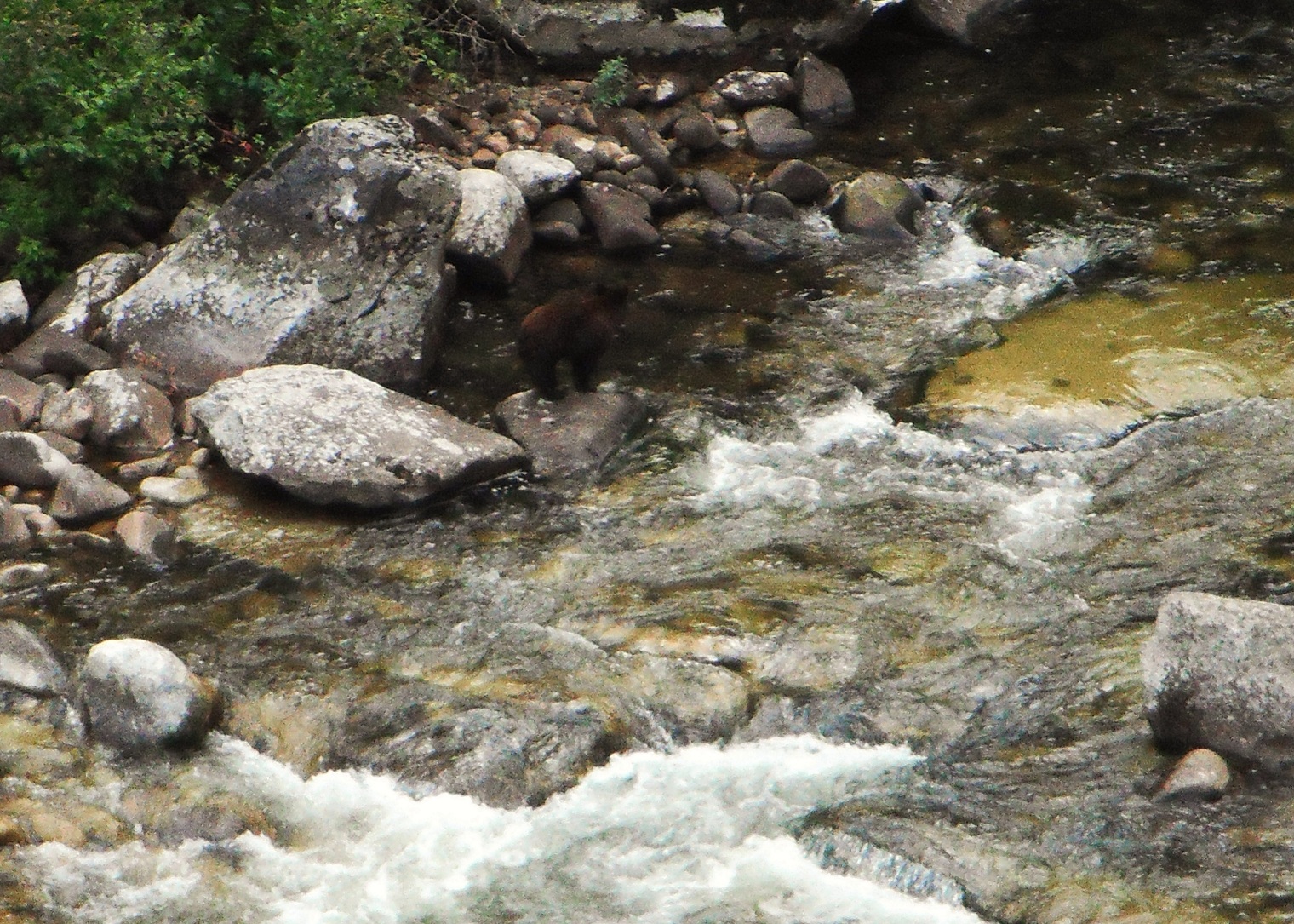STAY VERTICAL: Split Creek, Secesh River Loop