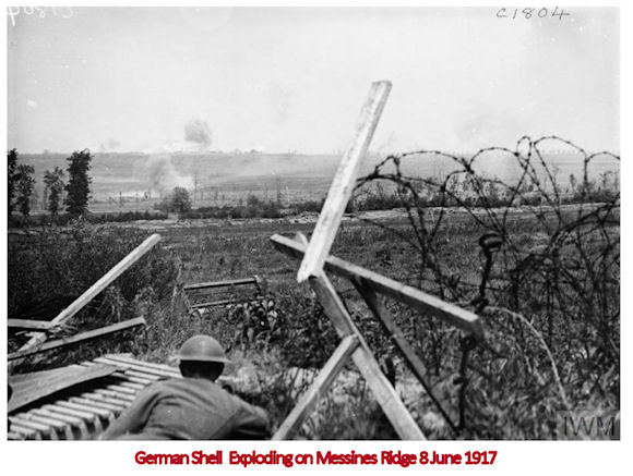 Roads to the Great War: Images of the Flanders Battlefields